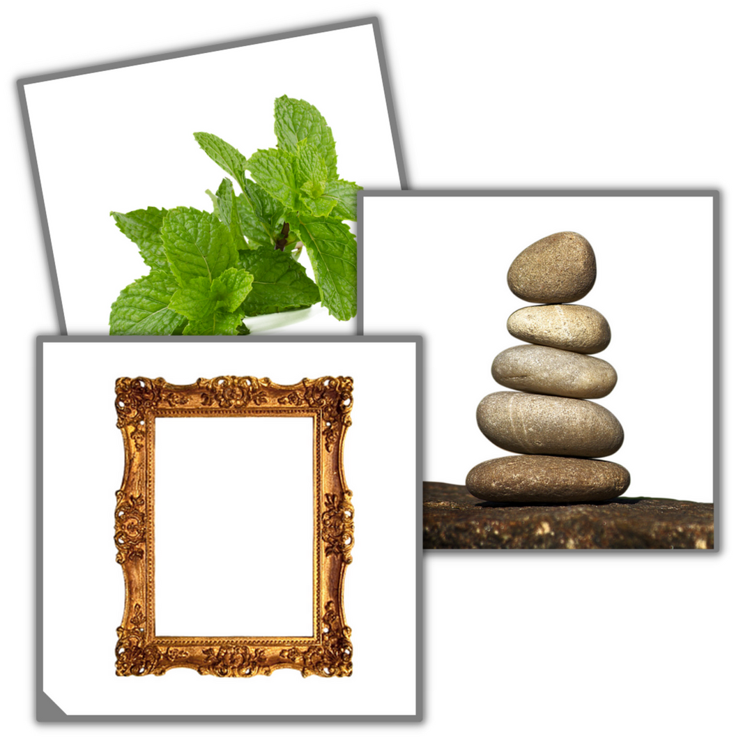 Jardin d'Ortho – jardindortho