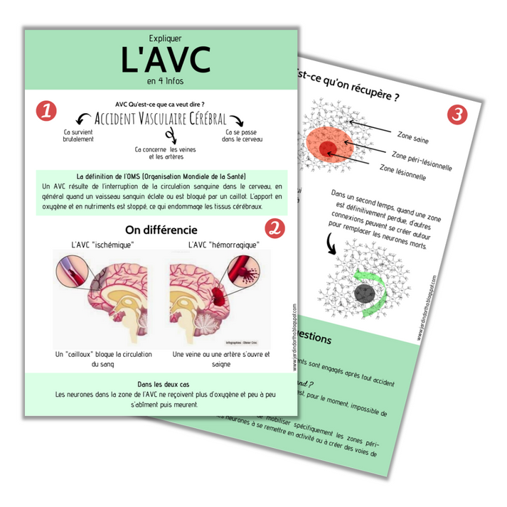 L'AVC qu'est-ce que c'est ? Fiche explicative – jardindortho
